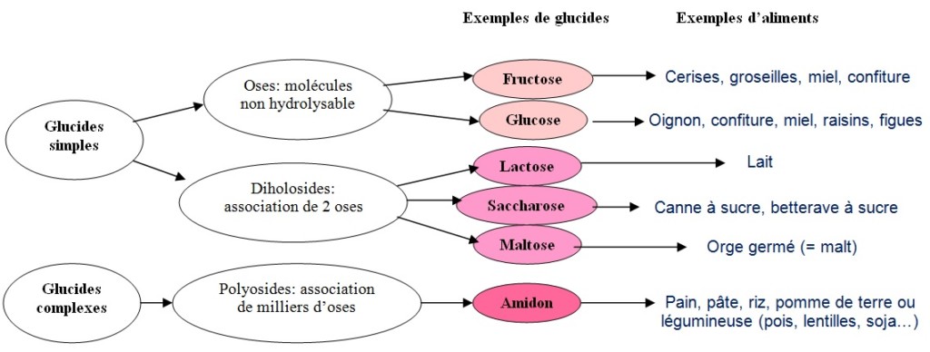 Tout savoir sur les glucides : consommation par jour, liste d'aliments ...